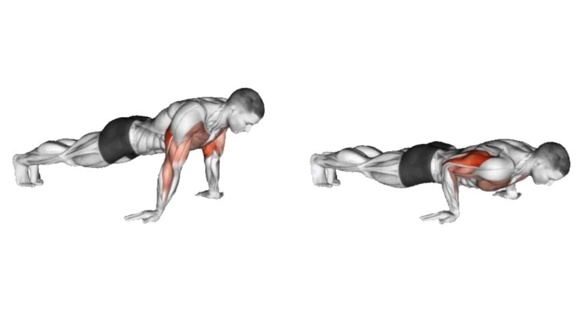 The best biceps workout list to hone your guns | Fitclub
